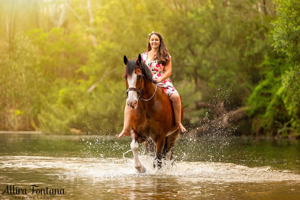 Clydesdale Cross Sport Horse Association – Promoting the Clydesdale ...