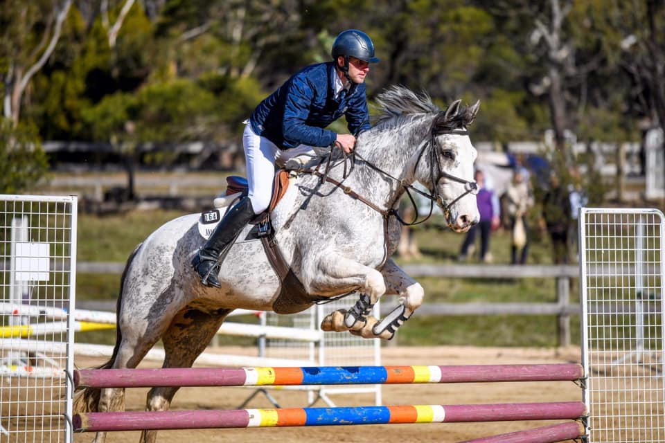 Clydesdale Cross Sport Horse Association – Promoting the Clydesdale ...