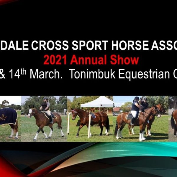 Clydesdale Cross Sport Horse Association – Promoting the Clydesdale ...