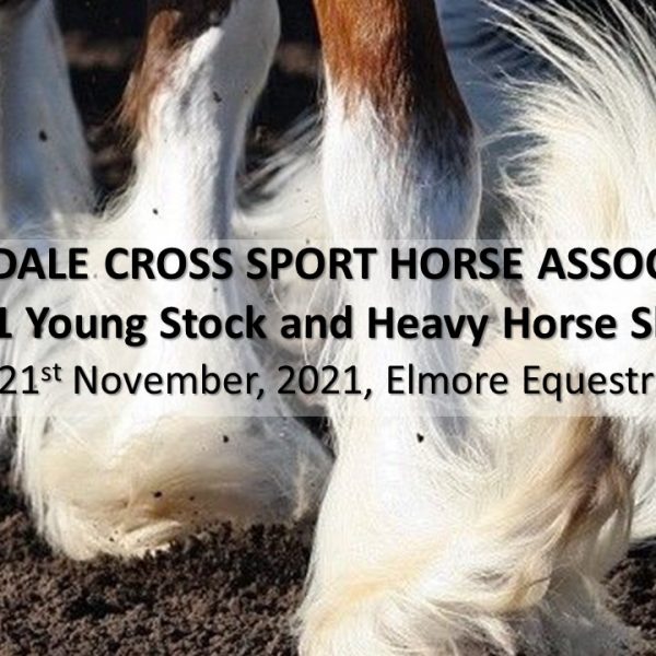 Clydesdale Cross Sport Horse Association – Promoting the Clydesdale ...