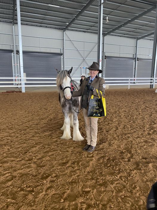 2022 CCSHA Youngstock & Heavy Horse show – Clydesdale Cross Sport Horse ...