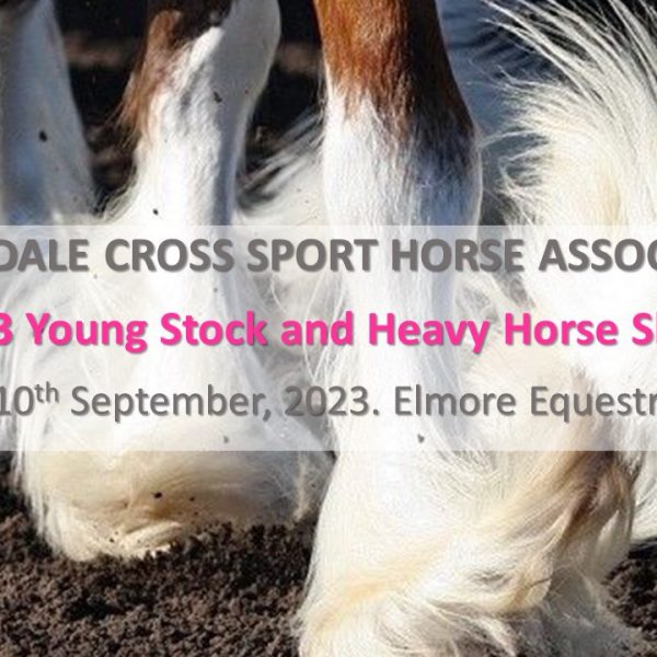 Clydesdale Cross Sport Horse Association – Promoting the Clydesdale ...